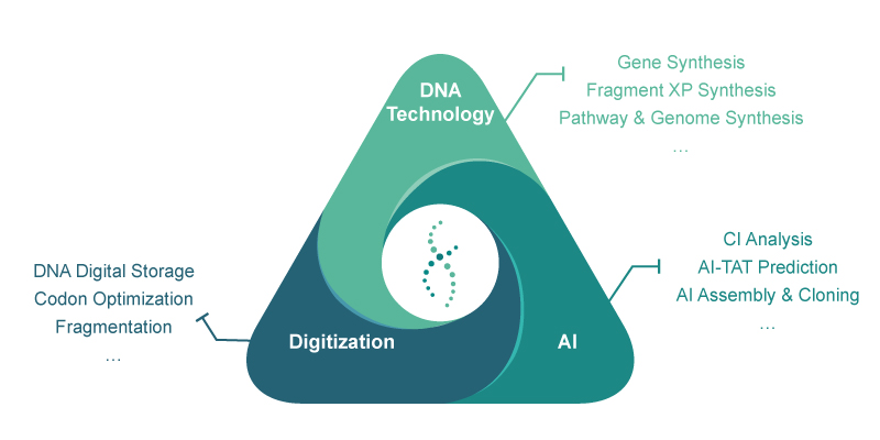 For Industrial Biotech, What Makes Our DNA Synthesis Process Both ...